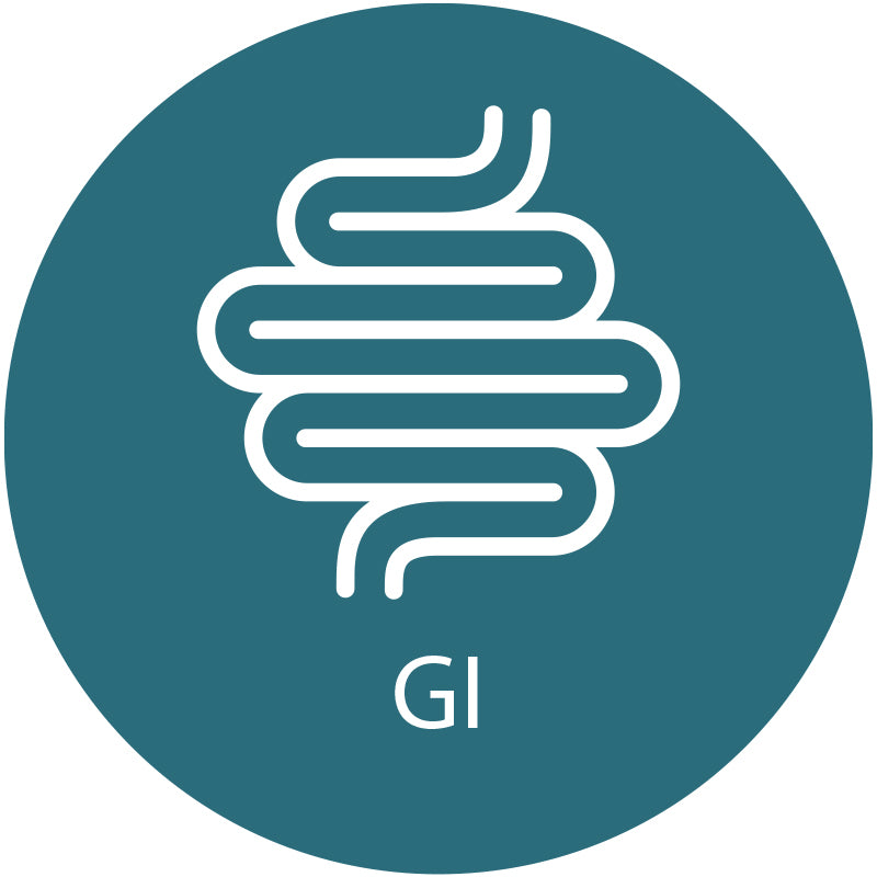 Precision Gastrointestinal Support – Precision Health Nutrients